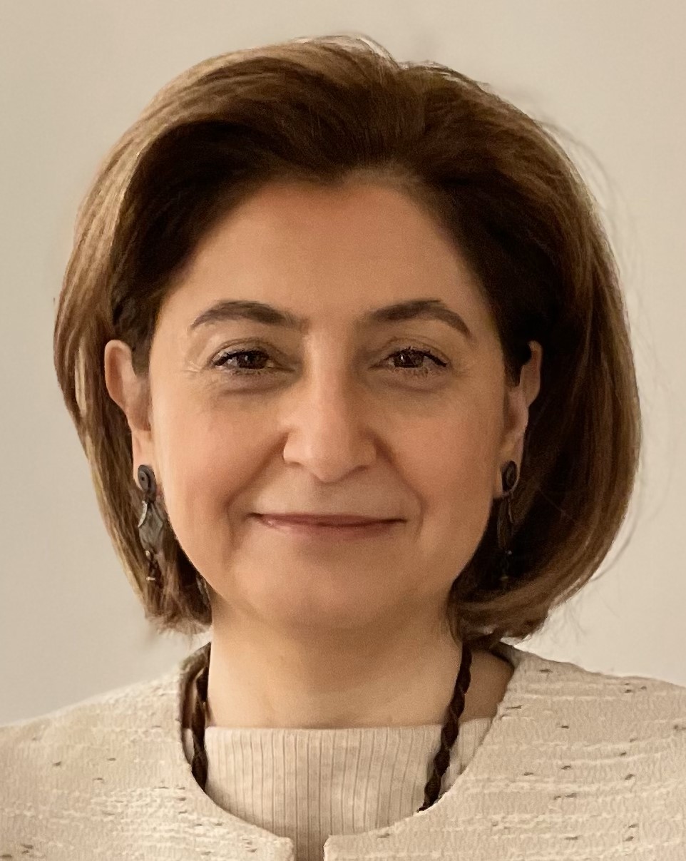 New Economy Workshop: Exploring Digital Public Infrastructure and GovTech Experiences in Public ...